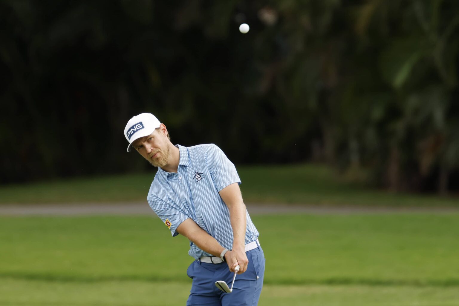 Original Penguin signs Kristoffer Reitan to golf roster - Love Live Golf